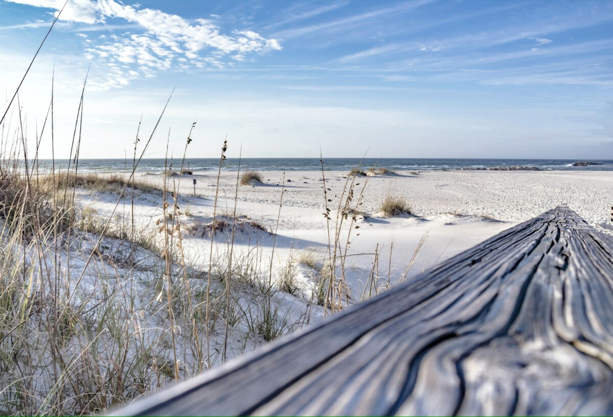 Business Law Attorneys in Foley, AL | King & King Attorneys at Law